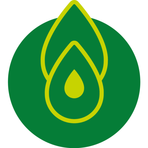 Mes formations - Potentiels coaching